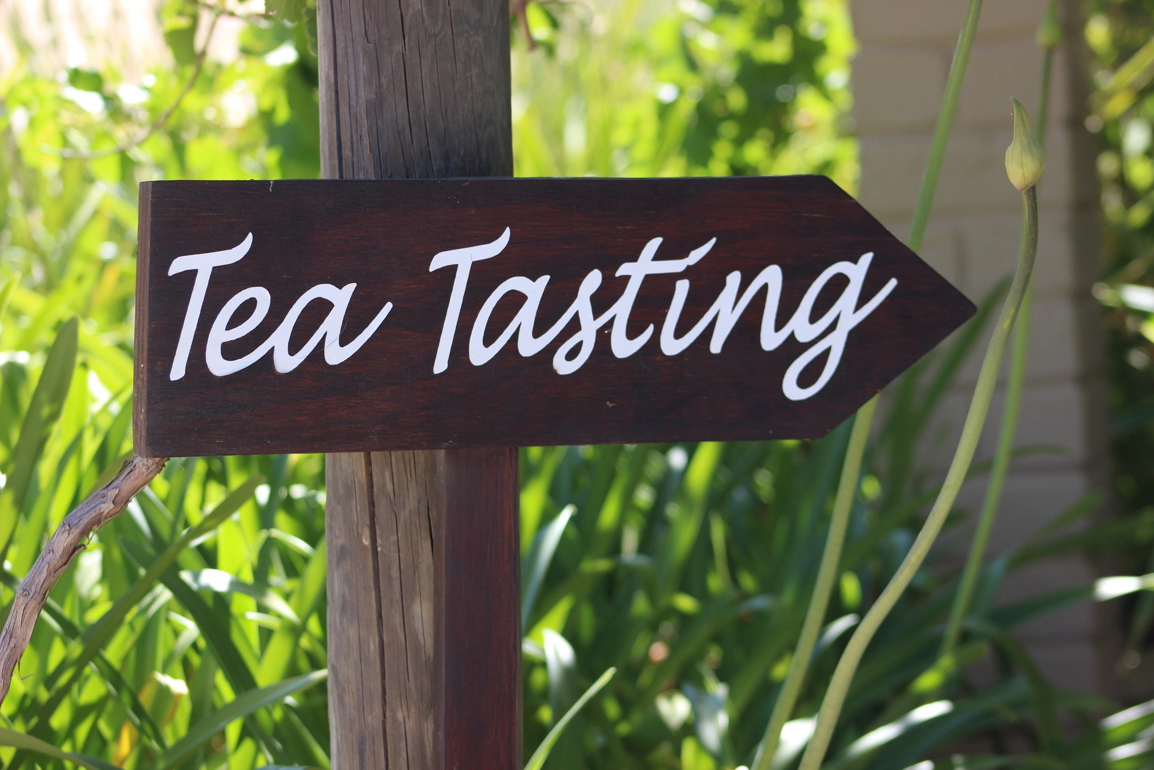 The Science of Tasting Tea – Brooklyn Tea
